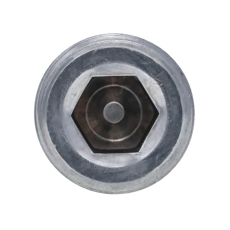 Socket Pipe Plug DIN 906 - Uni Circle Fasteners Sdn Bhd